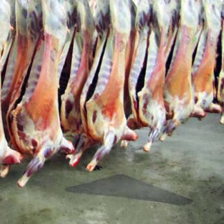 Cretex MC Deepfill CSG (Cold Store Grade) | Polycote