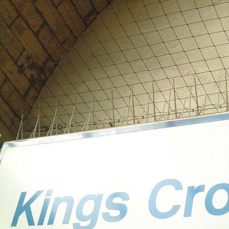 Bird Spikes Archives - Polycote