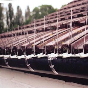Bird Spikes | Polycote