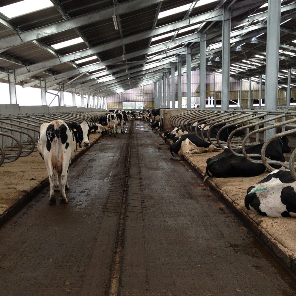 Cretex Rapid | Fast-Curing Concrete Repair | Polycote UK