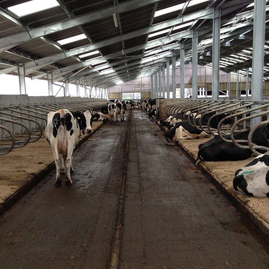 Cemcoat Smooth | Polymer & Cement Floor Repairs | Polycote UK