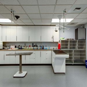 Wall Cladding Polypropylene Panel | Wall Cladding | Polycote UK