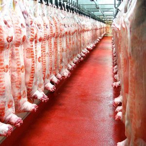 Flortex® MC CSG | Polycote