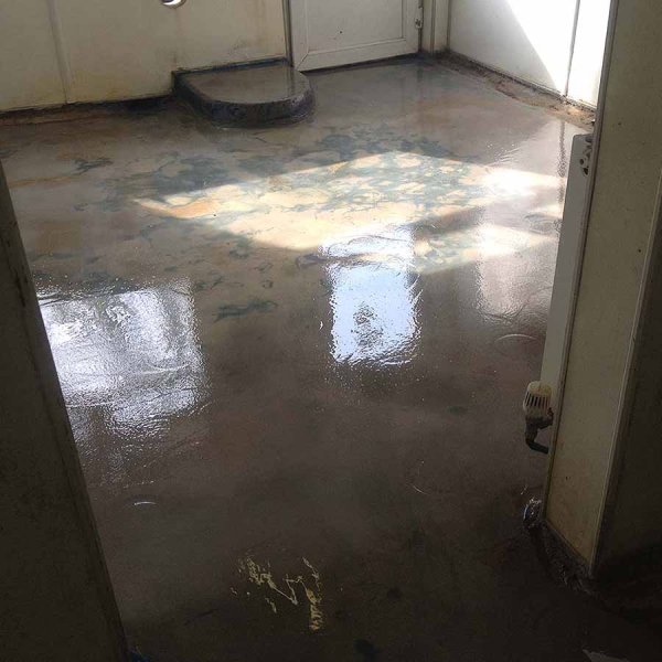 MC Primer Std - Polycote