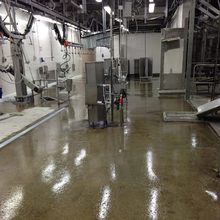 DPM Primer | DPM Floor Paint Primer | Polycote UK