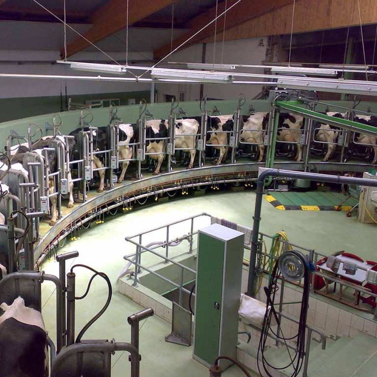 Flortex Non-slip Professional Concrete Floor Paint | Polycote UK