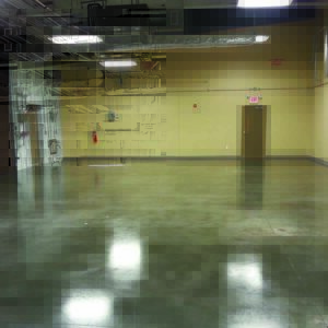 Flortex Clearseal | Polycote