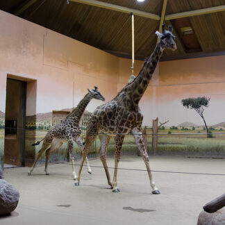 Cretex EP | Strong Epoxy Concrete Floor Repair | Polycote UK