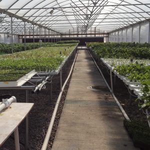 Cretex Rapid | Fast-Curing Concrete Repair | Polycote UK